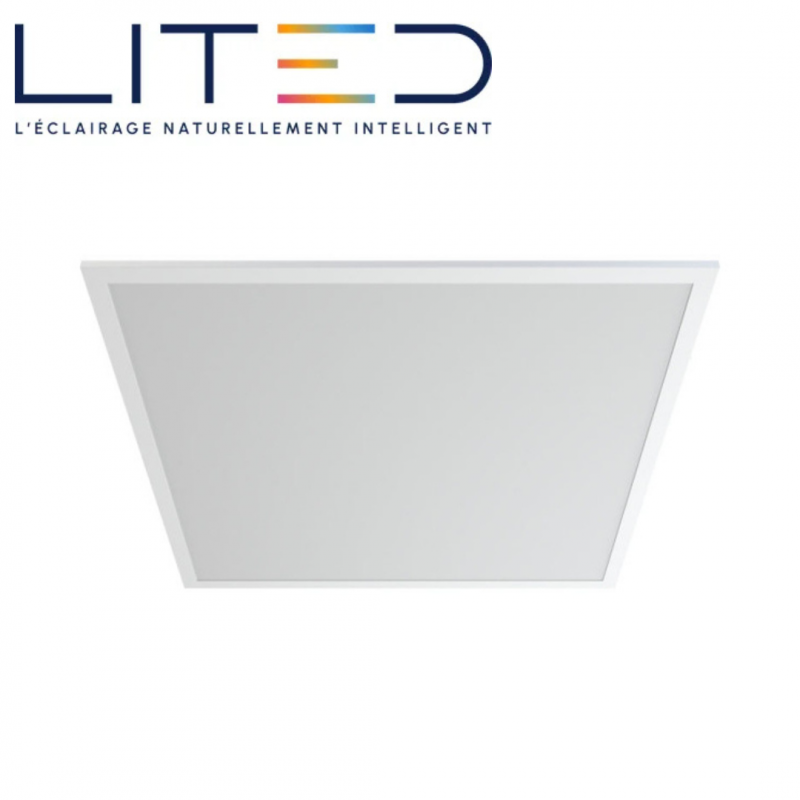 Panneau LED 36W 3240lm IP20 avec bornier et driver - FRO6060-001 LITED